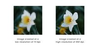 Low Resolution Images vs. High Resolution Images Differences